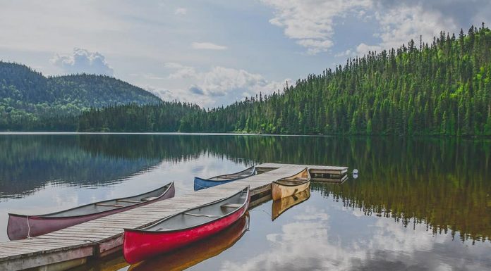 How To Canoe: Learn The Basics Of Launching, Paddling, Safety & More ...