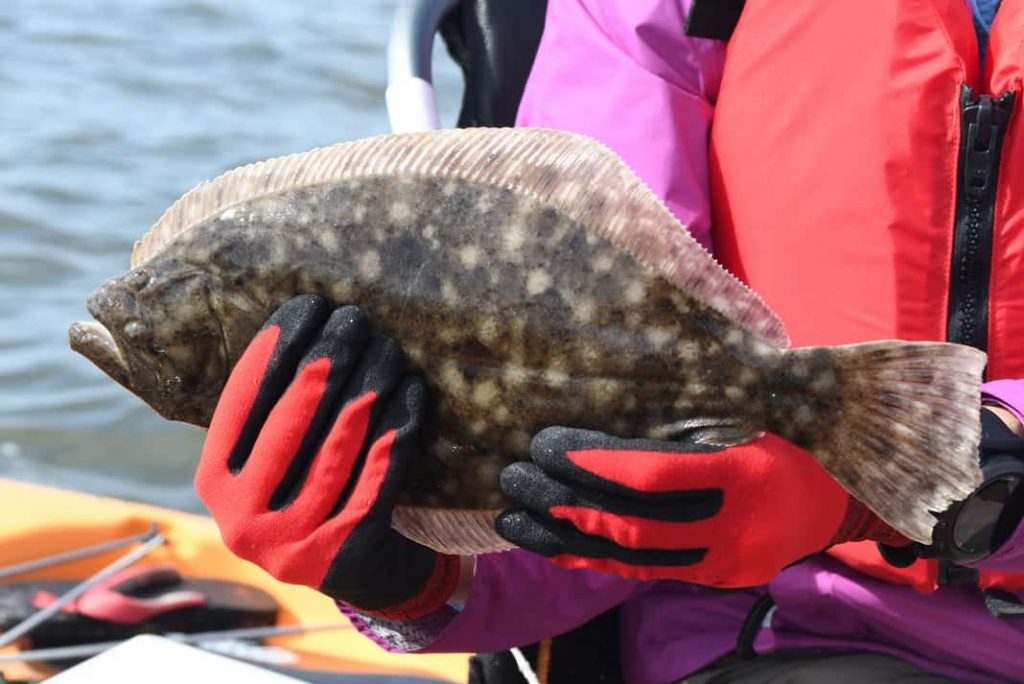 Go Cold, Dark And Deep For Trophy Lingcod | Kayak Angler