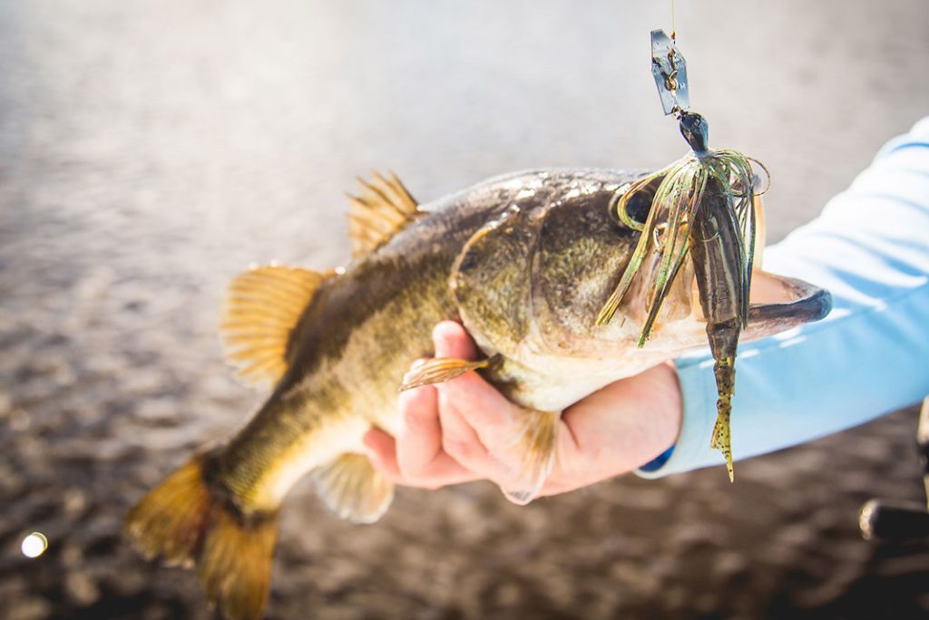 How To Fish A Chatterbait: Expert Tactics For Every Season | Kayak Angler