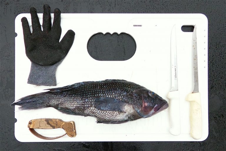 How To Fillet A Fish In 5 Easy Steps | Kayak Angler