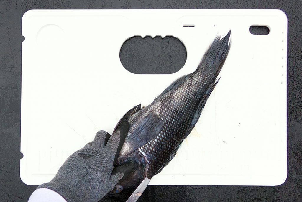 How To Fillet A Fish In 5 Easy Steps | Kayak Angler