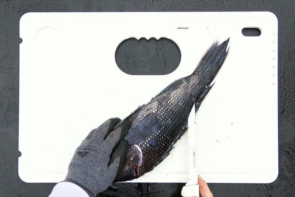 How To Fillet A Fish In 5 Easy Steps | Kayak Angler
