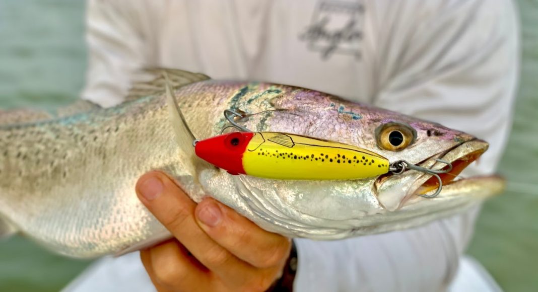 Pro Tips To Tango With Topwater Lures | Kayak Angler