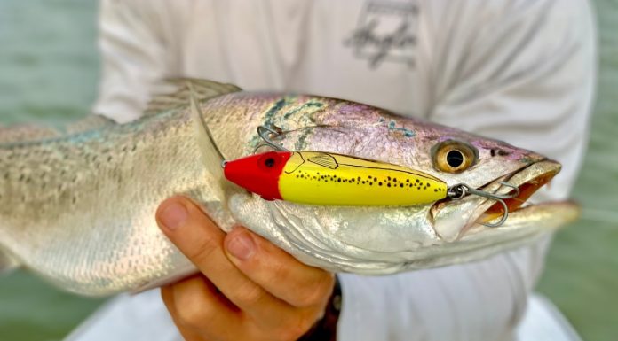Pro Tips To Tango With Topwater Lures | Kayak Angler