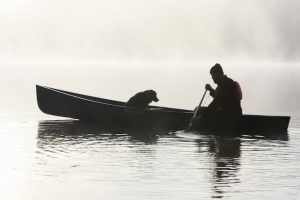 9 Tips On How To Canoe With Your Dog - Paddling Magazine
