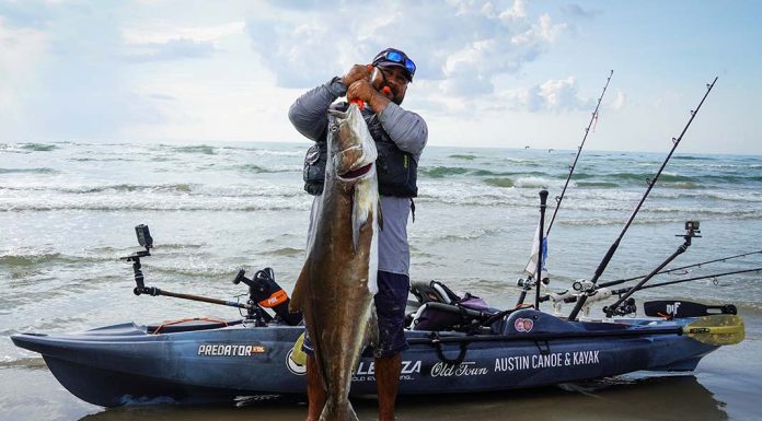 Kayak Fishing For Cobia: Ling Tips, Tactics & More | Kayak Angler