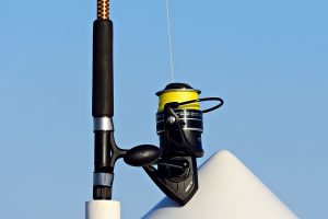 Angler’s Guide To Types Of Fishing Line | Kayak Angler