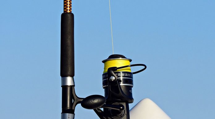 Angler’s Guide To Types Of Fishing Line | Kayak Angler