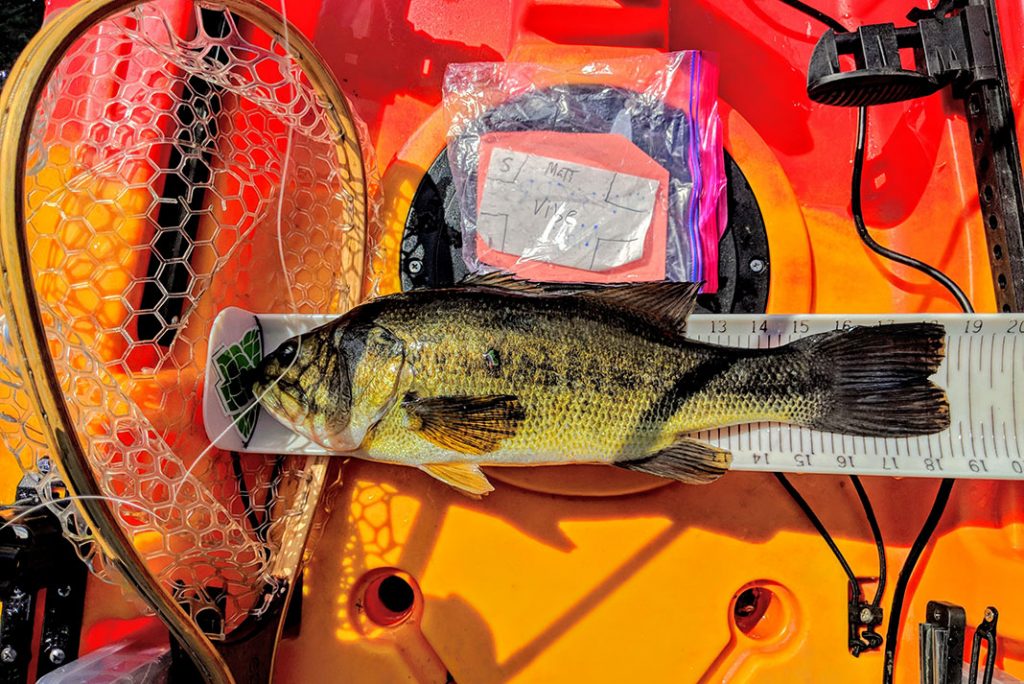 24 Steps To Kayak Fishing Mastery | Kayak Angler