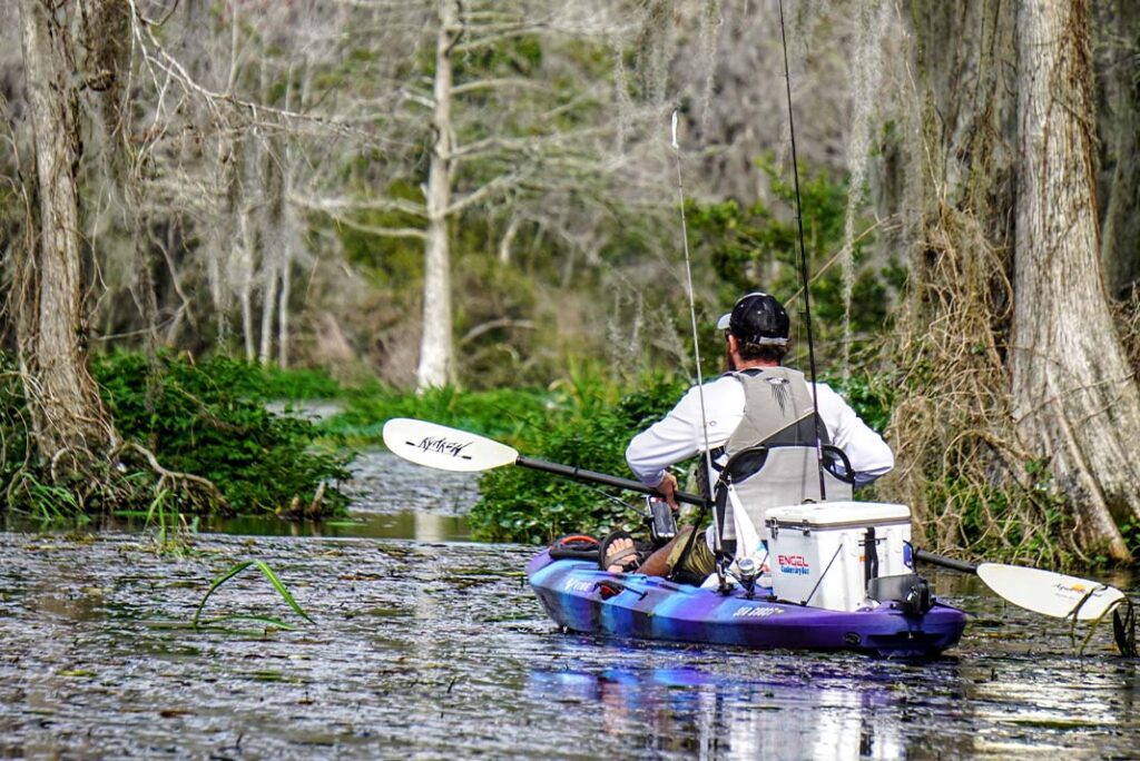 7 Tips for Catching Backwater Largemouth Bass | Kayak Angler