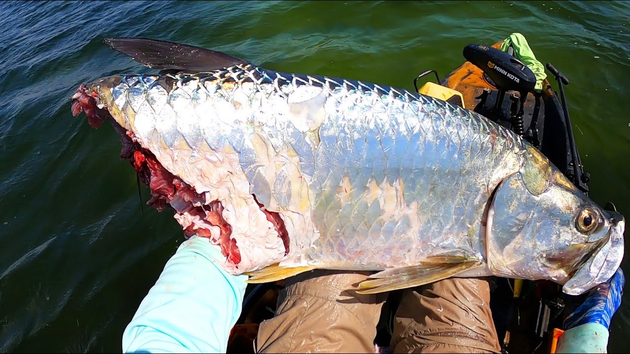 Kayak Angler | World's Leading Kayak Fishing Magazine