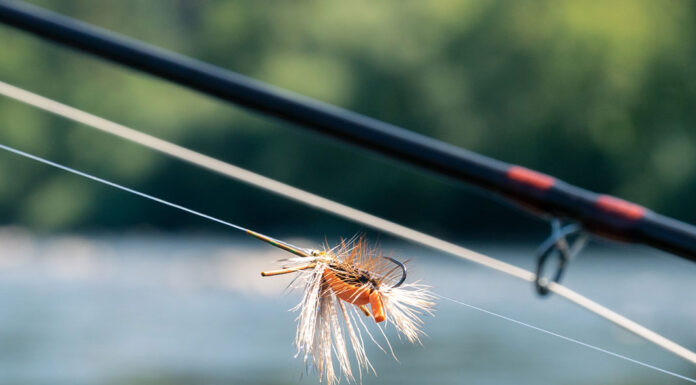 Double Your Fly Fishing Fun With A Dry Dropper Rig | Kayak Angler