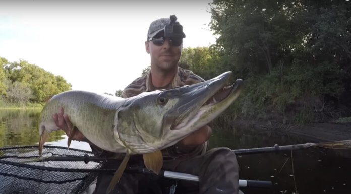 The Absurd Looking Topwater Bio-Rat Hauls In Monsters | Kayak Angler