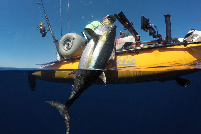 Fast Or Slow? Pick The Best Jig For Pelagic Fish | Kayak Angler