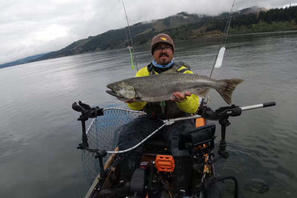 Trolling Chinook Salmon By Pedal Kayak (Video) | Kayak Angler