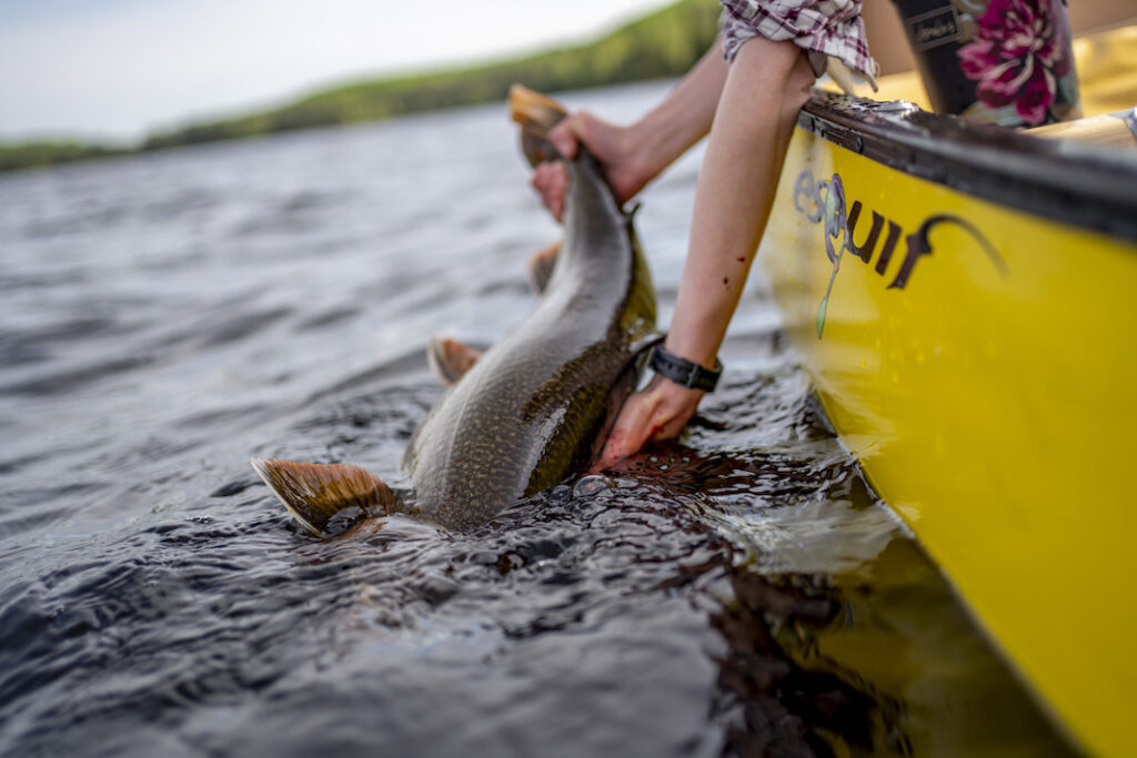 Best Fishing Canoes For 2025 | Kayak Angler