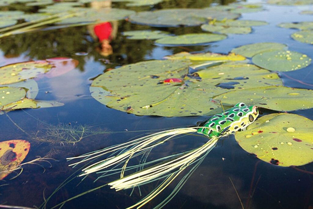 Enjoy The Simple Pleasures Of Pond Fishing | Kayak Angler