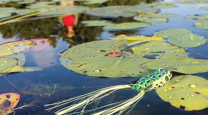 Enjoy The Simple Pleasures Of Pond Fishing | Kayak Angler