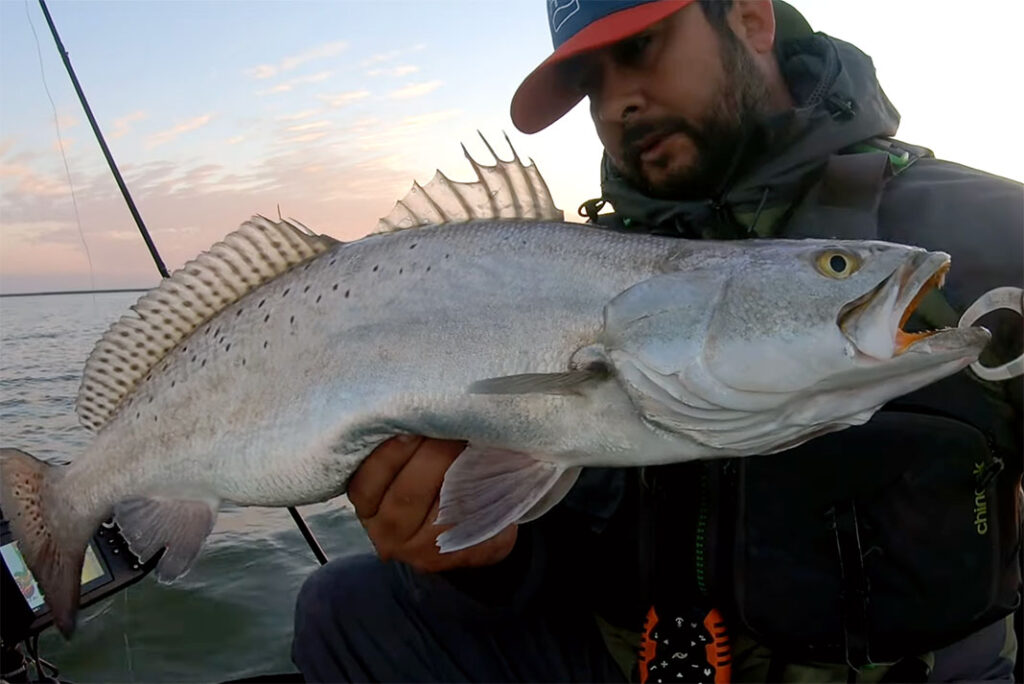 5 Expert Tips To Catch & Cook Speckled Trout | Kayak Angler