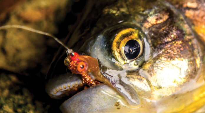 UnBelizable: Central America's Best Kayak Fishing Kept Secret | Kayak ...
