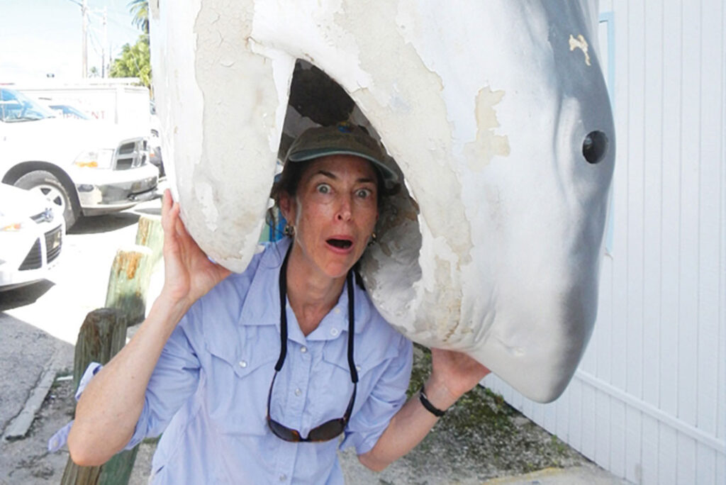 6 Pieces Of Shark Trivia You Probably Didn’t Know | Kayak Angler