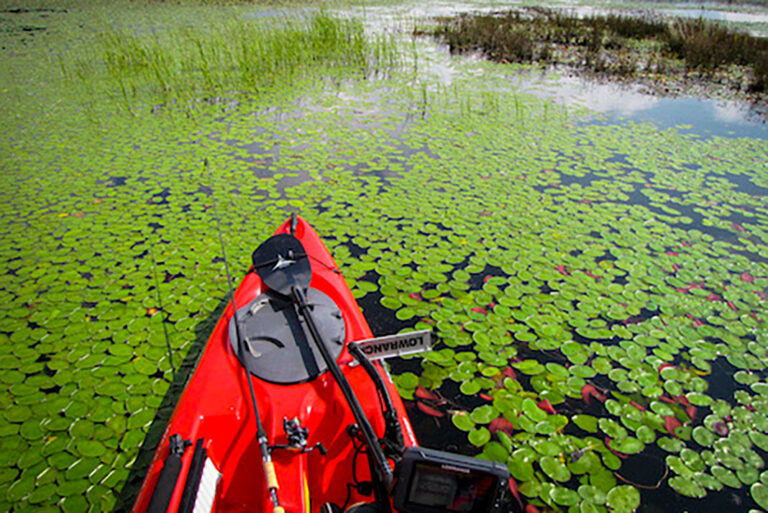 Enjoy The Simple Pleasures Of Pond Fishing | Kayak Angler