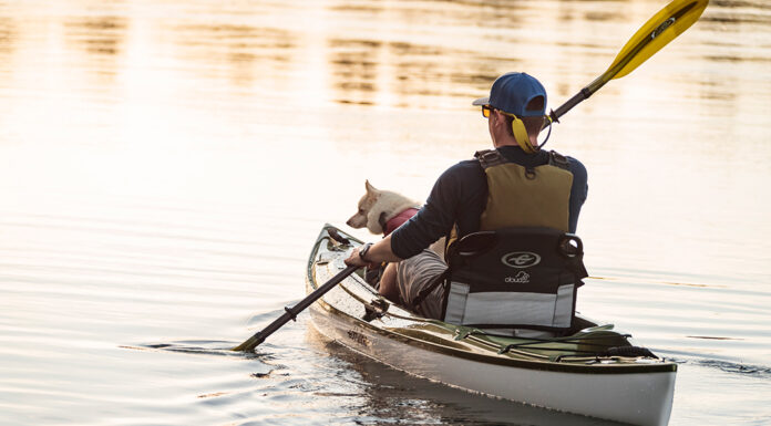 Dog Days: Expert Tips On Fishing With Fido | Kayak Angler