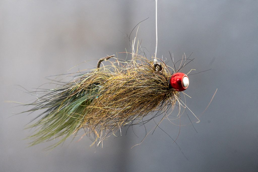 Target Ice-Out Trout With The Balanced Leech Fly | Kayak Angler