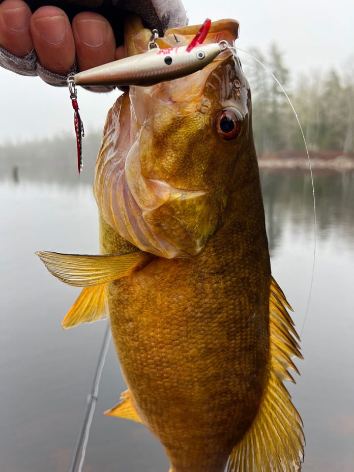 Smallmouth Bass Hotspots In Their Native Range | Kayak Angler