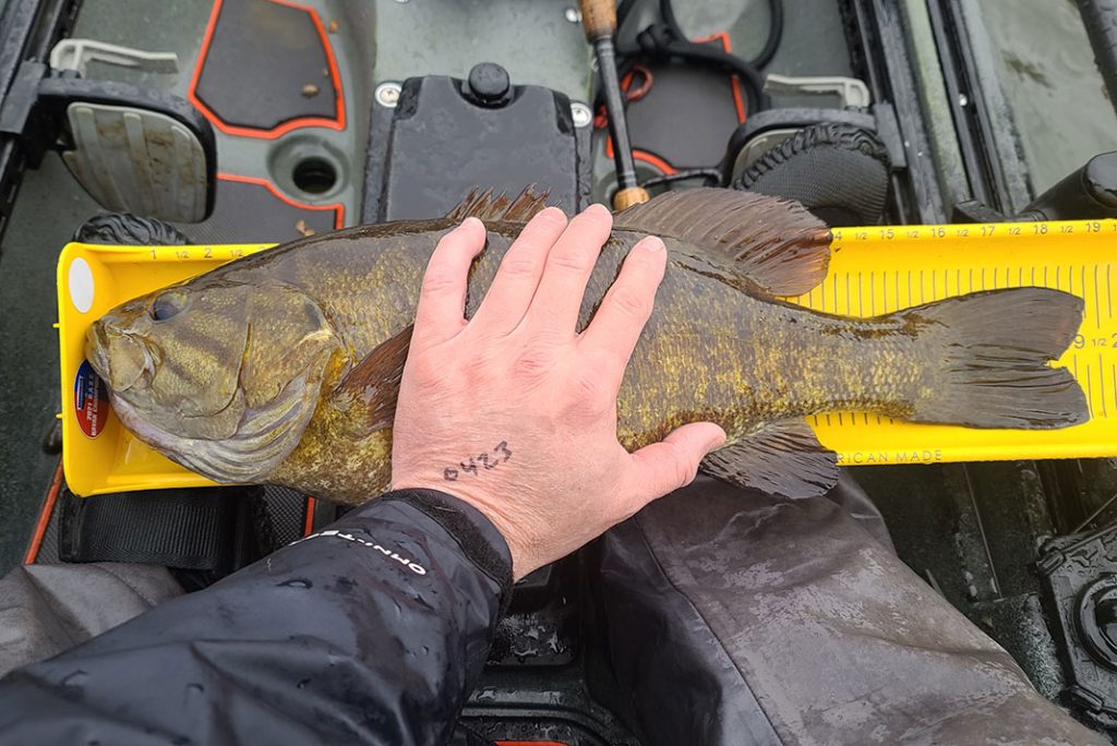 Smallmouth Bass Hotspots In Their Native Range | Kayak Angler