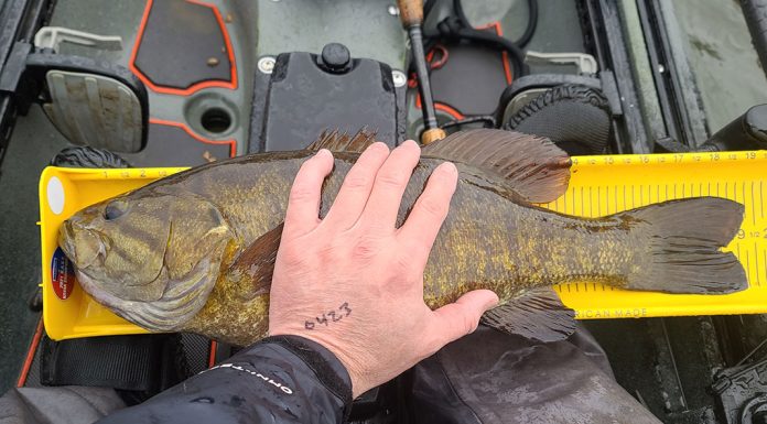 Smallmouth Bass Hotspots In Their Native Range | Kayak Angler