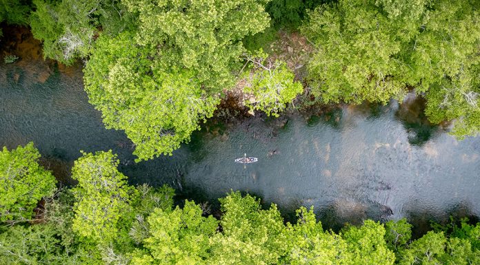8 Best-Kept Secret Bass Fishing Spots In Alabama | Kayak Angler
