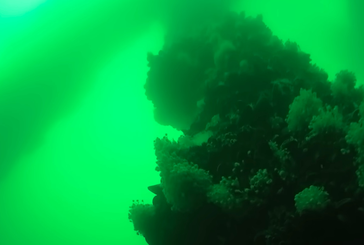 Underwater Drone Reveals What Wind Turbines Do To Ocean Floor (Video ...