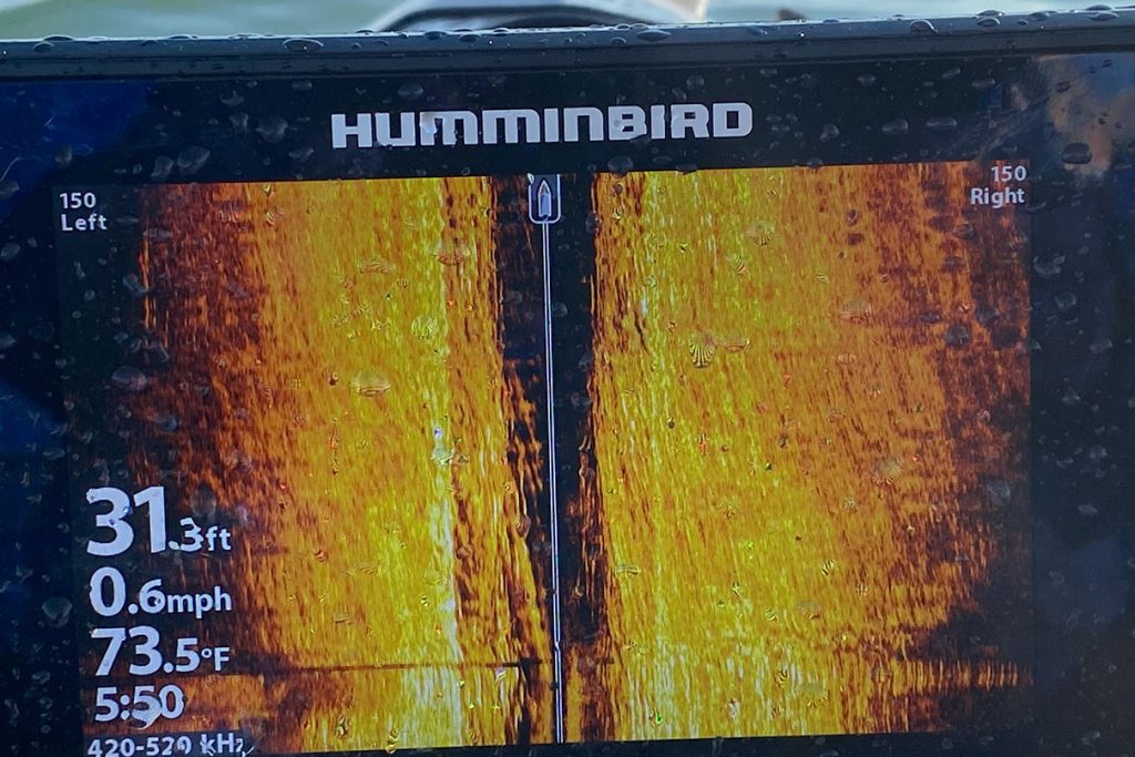 Using down view, I see incredibly accurate depictions of structure. A ...