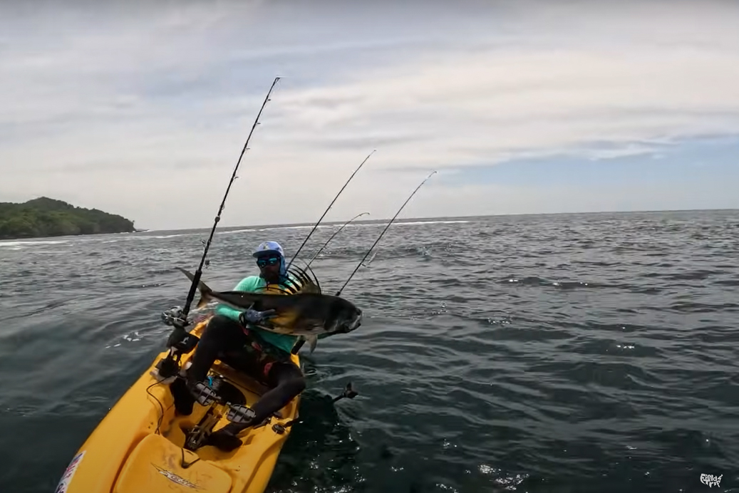 So A Fish Dragged You Out Of Your Kayak. What Next? (Video) | Kayak Angler