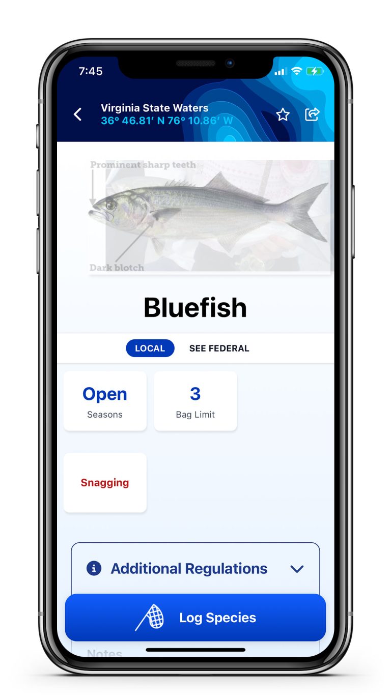 The 8 Best Fishing Apps | Kayak Angler