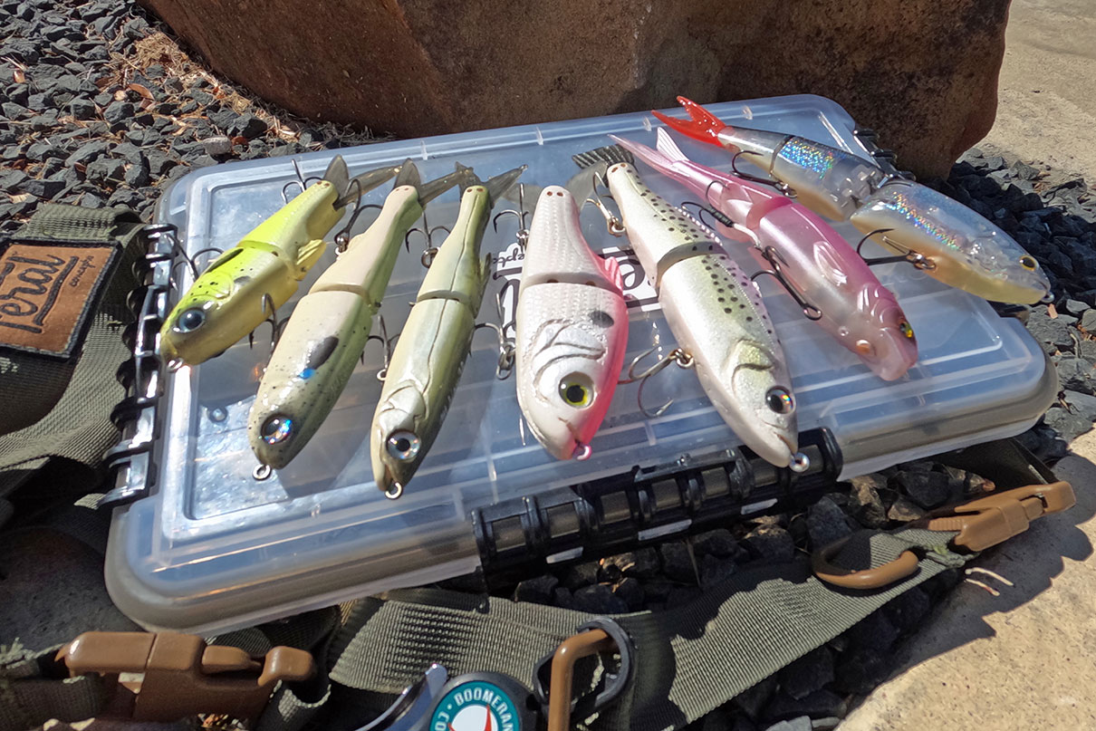Catch Your Next Gator Trout On A Glide Bait | Kayak Angler