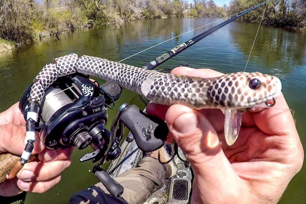 Massive Muskie Smashes Snake Lure (Video) | Kayak Angler