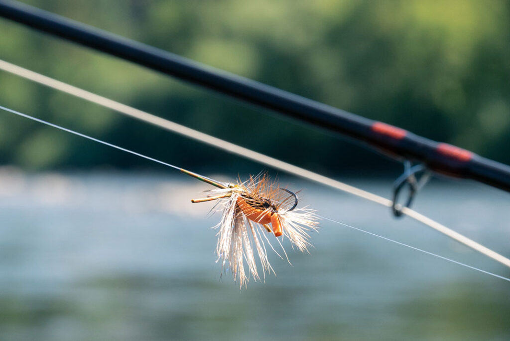 Double Your Fly Fishing Fun With A Dry Dropper Rig | Kayak Angler