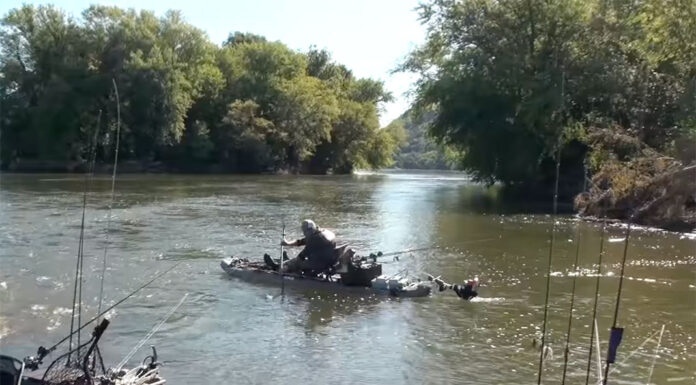 4 Paddle Strokes River Anglers Need to Know To Survive Strainers ...