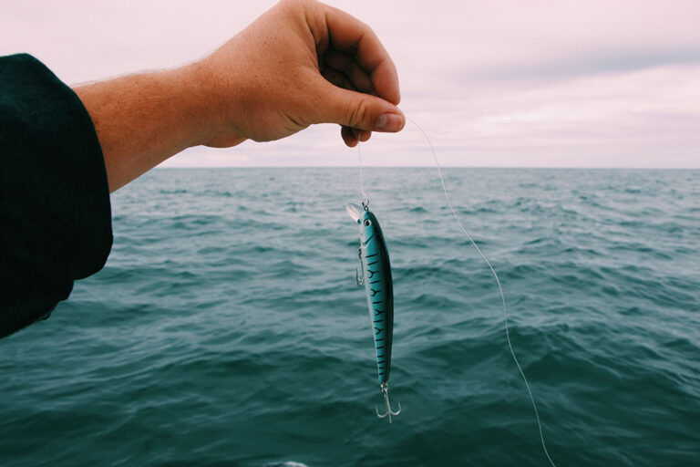 How To Rig And Fish The Drop Shot Rig | Kayak Angler