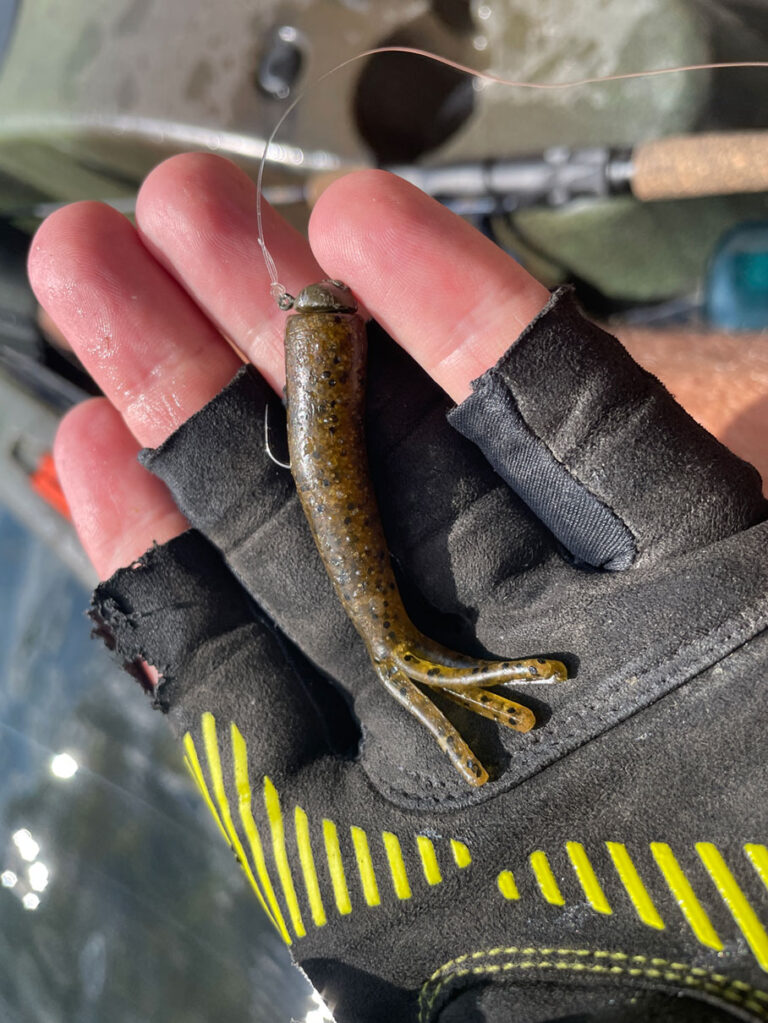 Best Bass Fishing Rigs | Kayak Angler