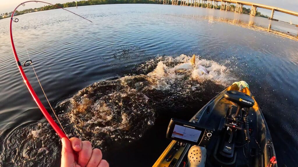 This Might Be The Most Epic Fish Battle On The Internet (Video) | Kayak ...