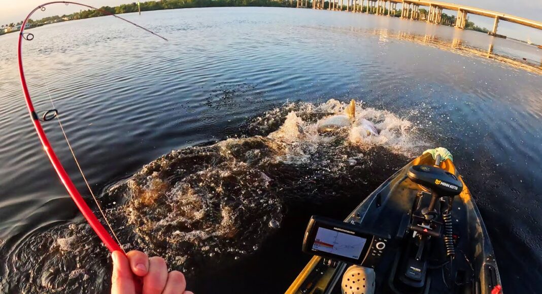This Might Be The Most Epic Fish Battle On The Internet (Video) | Kayak ...