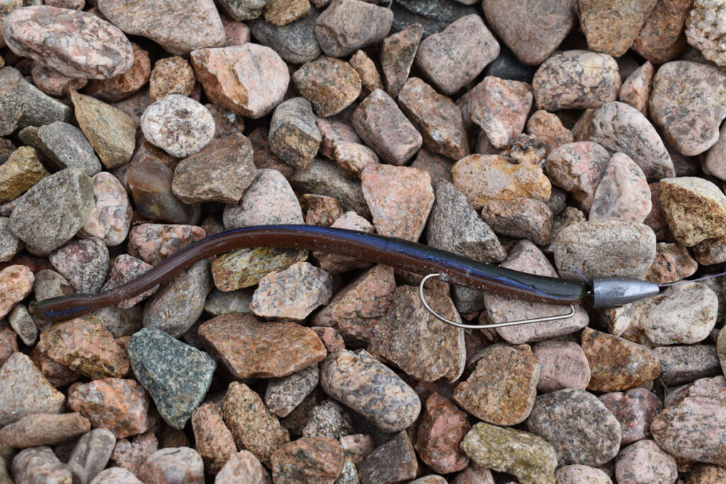 Best Bass Fishing Rigs | Kayak Angler