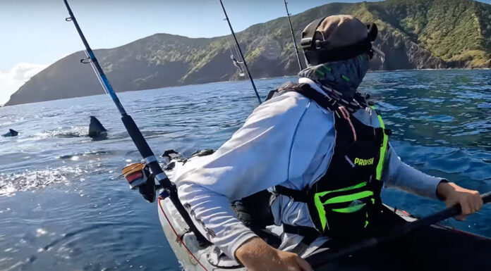 Solo Kayak Angler Hunted By Shark In New Zealand (Video) | Kayak Angler