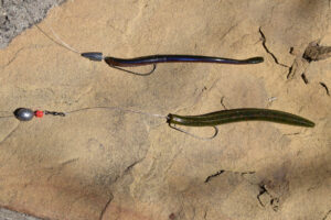 How To Rig And Fish The Carolina Rig | Kayak Angler