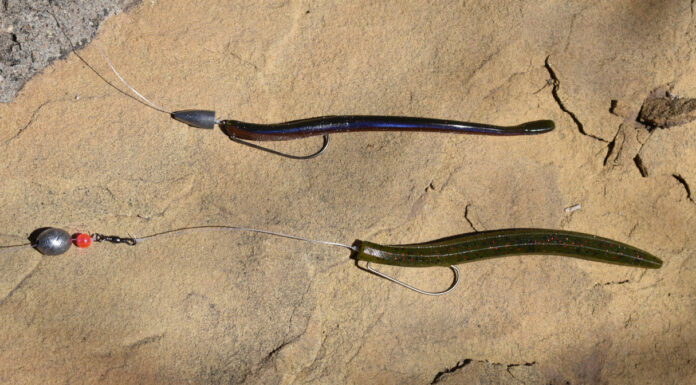 Texas Rig vs. Carolina Rig: When And How To Fish Each | Kayak Angler