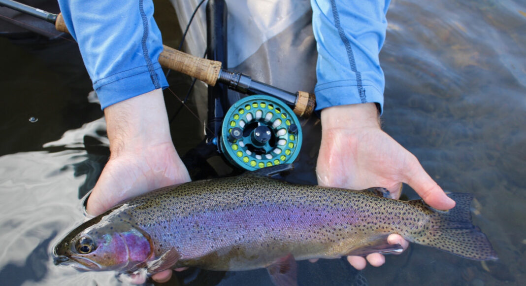 A Guide To Identifying Types Of Trout | Kayak Angler
