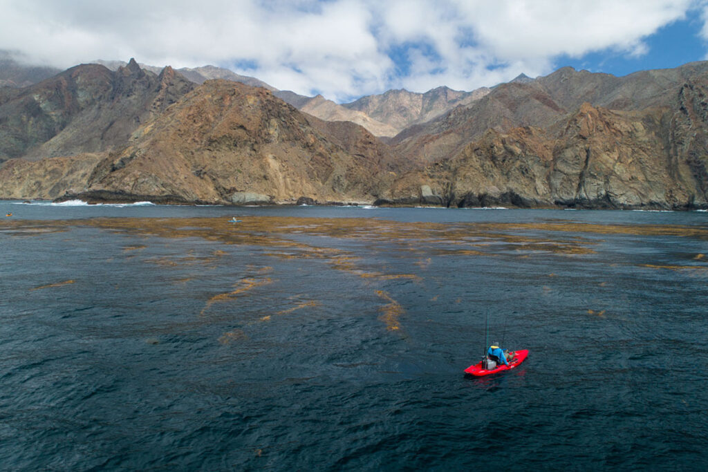 Spring Fever: What's The Best Kayak Fishing Near You Now? | Kayak Angler